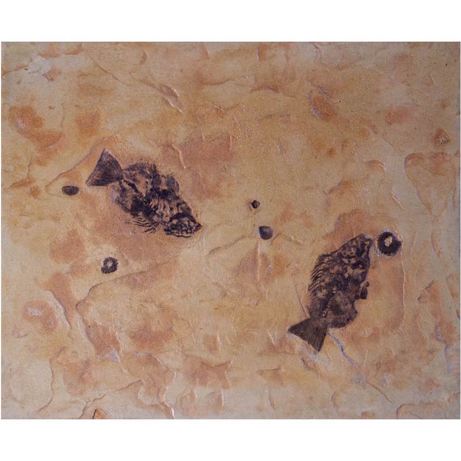 FOSSIL STAMP - SEA FLOOR