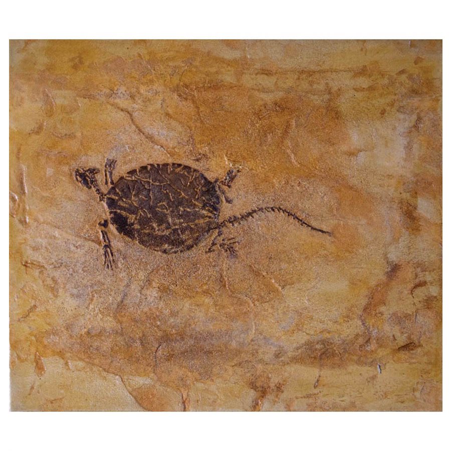 FOSSIL STAMP - TURTLE
