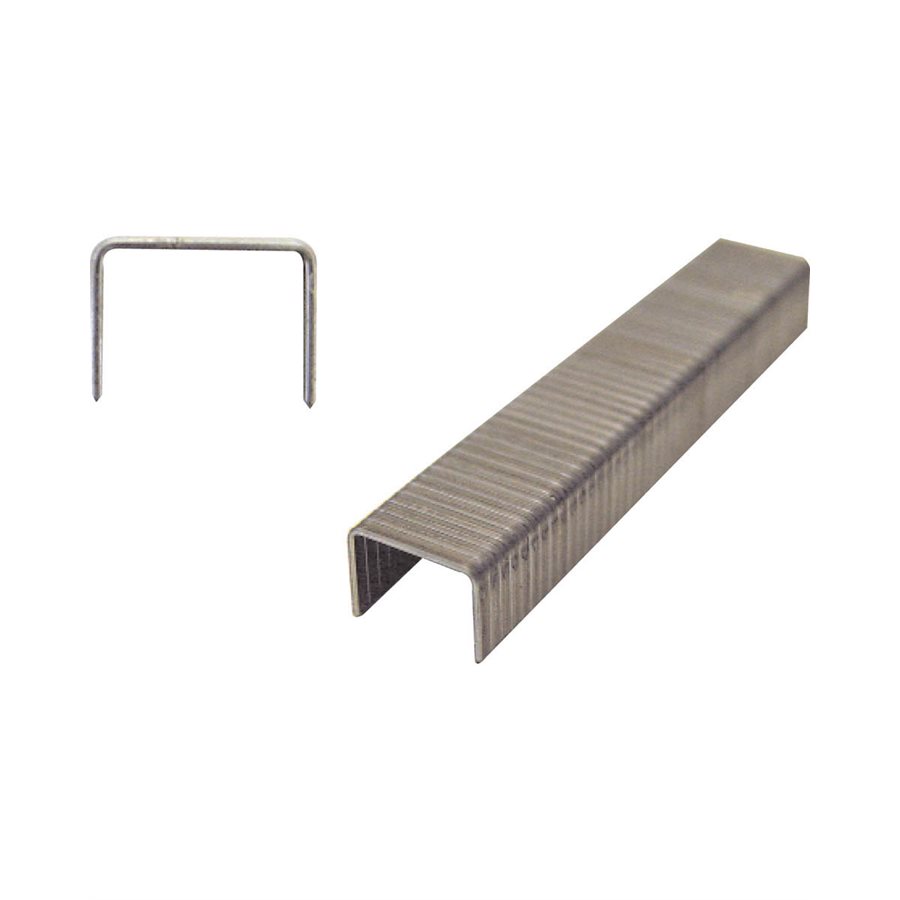 STAPLES FOR RAPID 11 - 1/4" (5000/PKG)